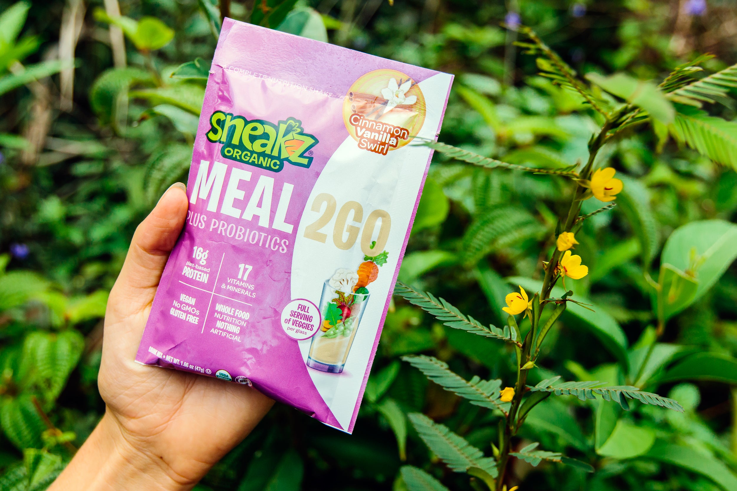 How Meal2Go Stacks Up Against Other Meal Replacement Shakes – Sneakz ...