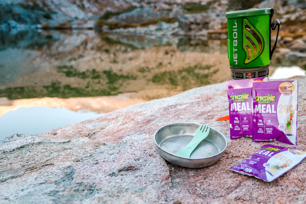 A Crave Worthy Complete Nutrition Shake for Adults – Sneakz Organic