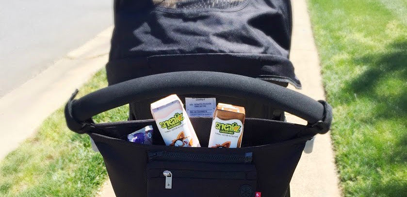 10 Healthy Kids’ Snacks that are Perfect On the Go – Sneakz Organic
